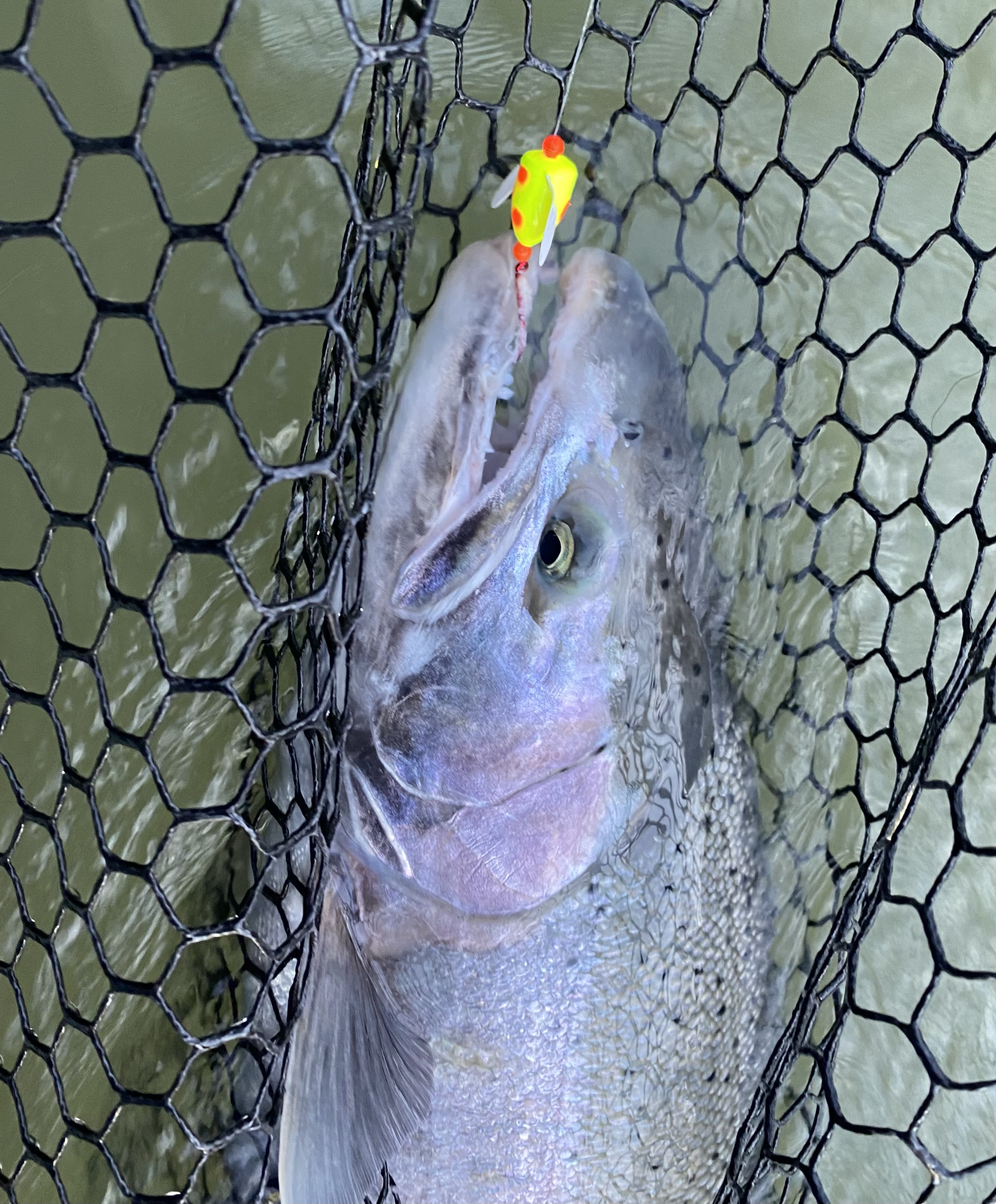 Rates – Redwood Fishing Adventures